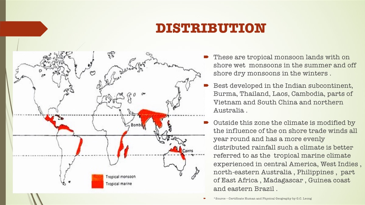 Fun Tropical Climate Facts For Kids Vrogue co Fun Tropical Climate Facts For Kids Vrogue co